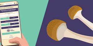 Shrooms & Truffles Dosage Calculator